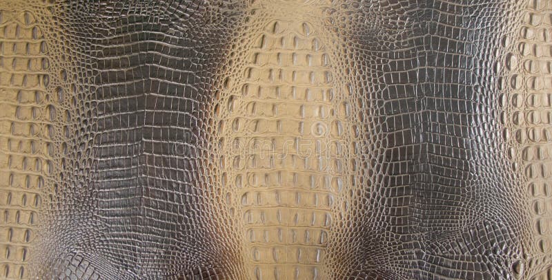 Black/Brown Colored Embossed Gator Back Leather Texture Stock Image ...