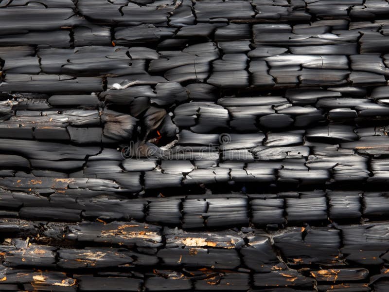 The Black Burn Wood Texture with Natural Background Stock Illustration ...
