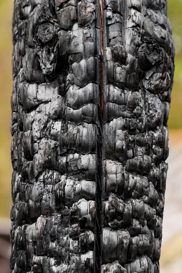 Black Burnt Log of a House Burned by Fire. Charcoal Wood Texture Stock ...