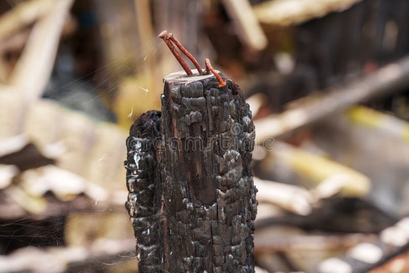 Black Burnt Log of a House Burned by Fire. Charcoal Wood Texture Stock ...