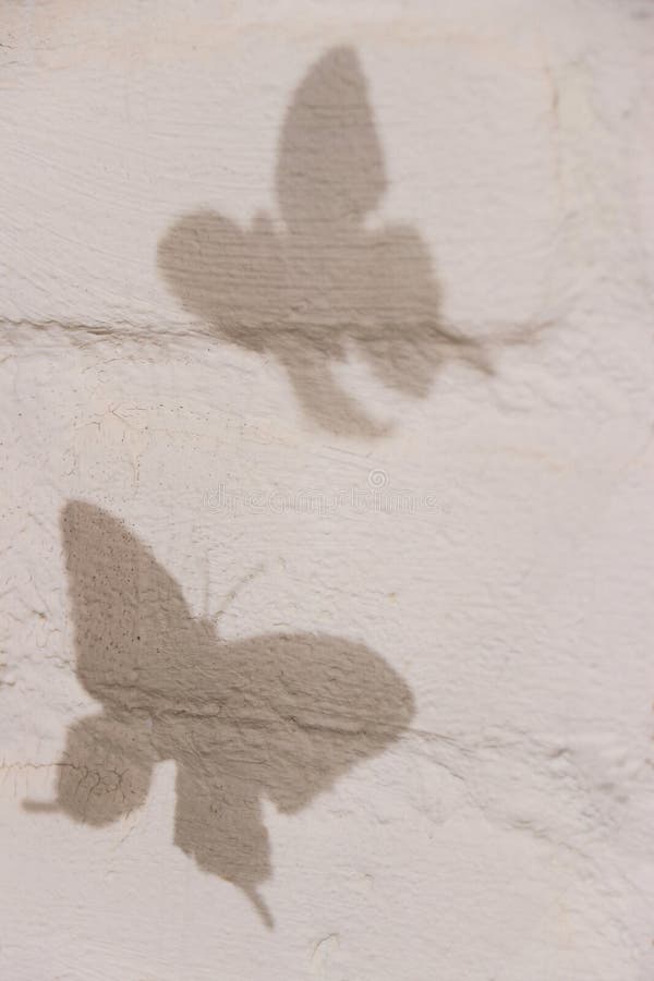 Black Butterfly Shadow on White Brick Wall Stock Image - Image of butterfly, shadow: 292012571