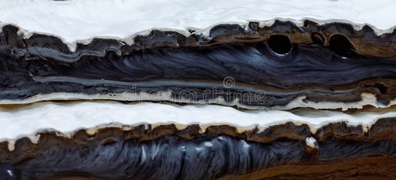 Black Camembert Cheese with a White Crust. Black Cheese with White ...