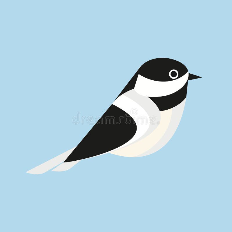 Black-capped Chickadee Bird Flat Design Vector Illustration. Bird Logo ...
