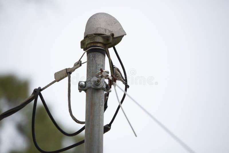 Chickadee on a wire stock photo. Image of green, black - 16711836