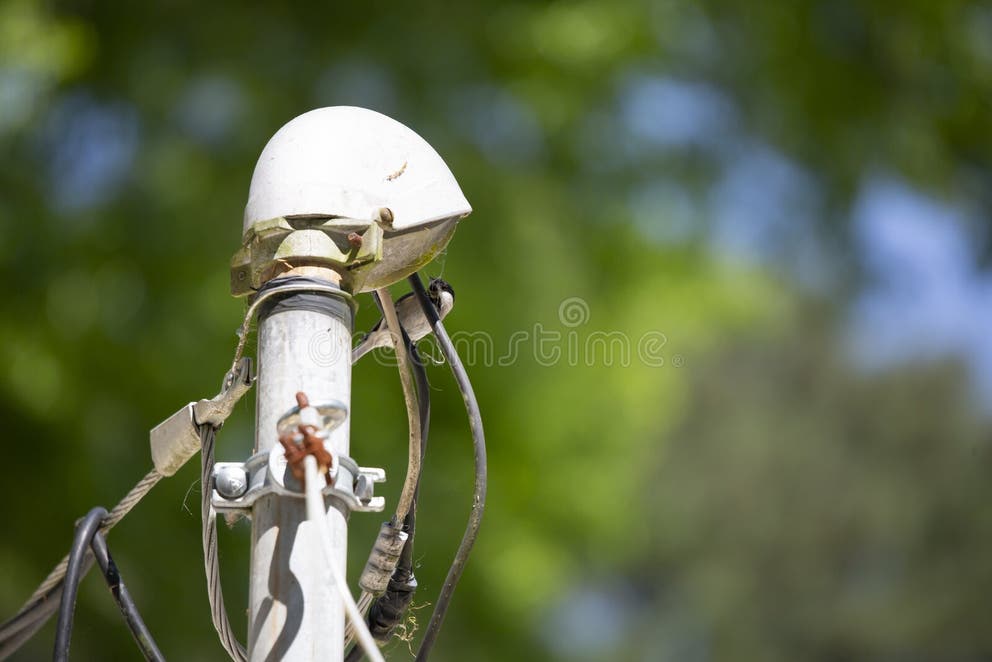 Black-Capped Chickadee on a Wire Stock Image - Image of chickadee ...