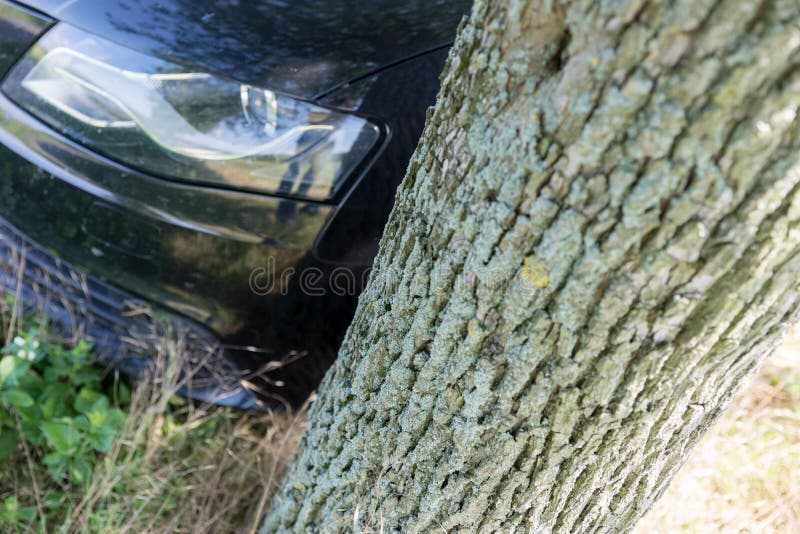 A Car after Accident. Big Old Tree Fell on the Car Stock Image - Image ...