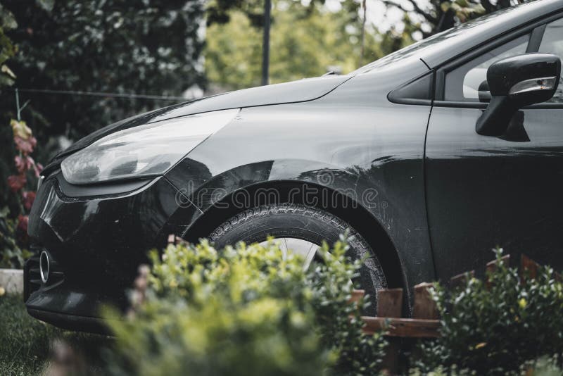 Black Car Parked in the Yard among Bushes Stock Image - Image of green ...