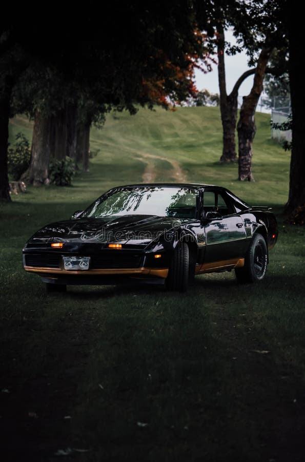Black Car on a Trail in a Forest Stock Image - Image of trail, luxury ...