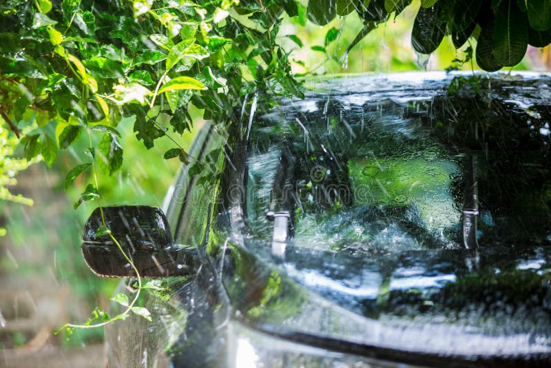 Black Car Under The Tree With Rain Drop Water Stock Image - Image of ...