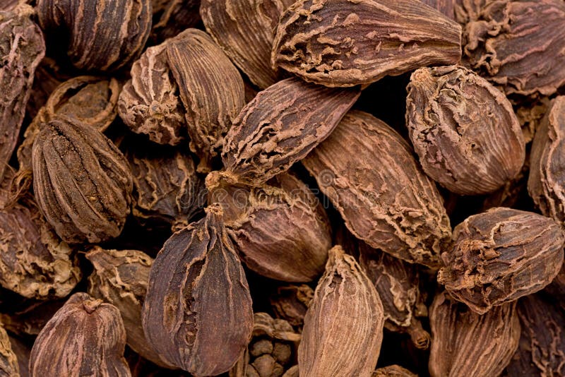 1,508 Black Cardamom Texture Stock Photos - Free & Royalty-Free Stock ...