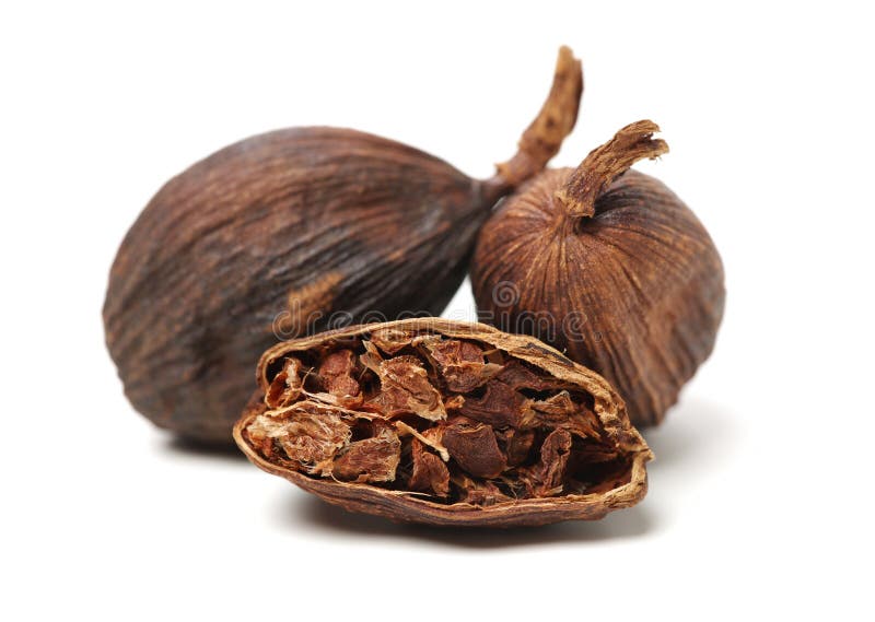 Single Black Cardamom Fruit Stock Photos - Free & Royalty-Free Stock ...