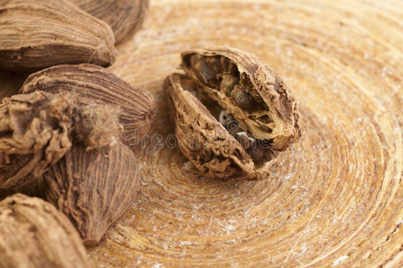 Sikkim Cardamom Stock Photos - Free & Royalty-Free Stock Photos from ...