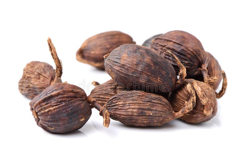 285 Single Cardamom Stock Photos - Free & Royalty-Free Stock Photos ...