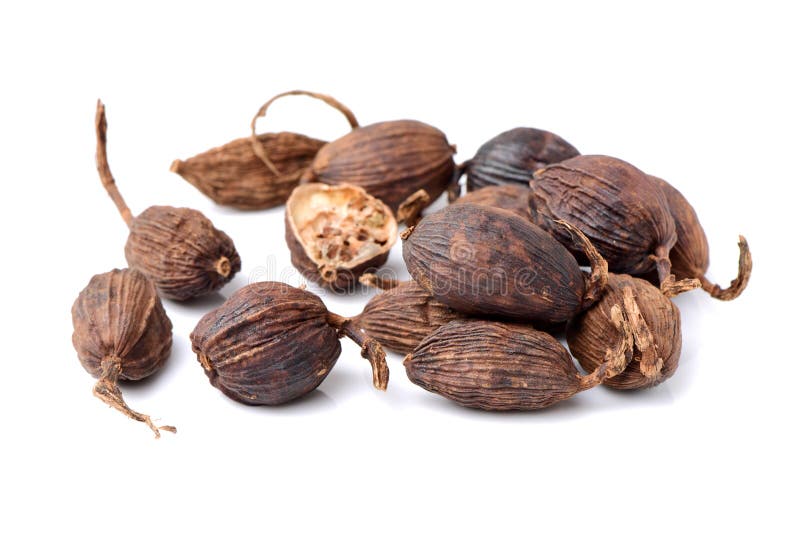 285 Single Cardamom Stock Photos - Free & Royalty-Free Stock Photos ...