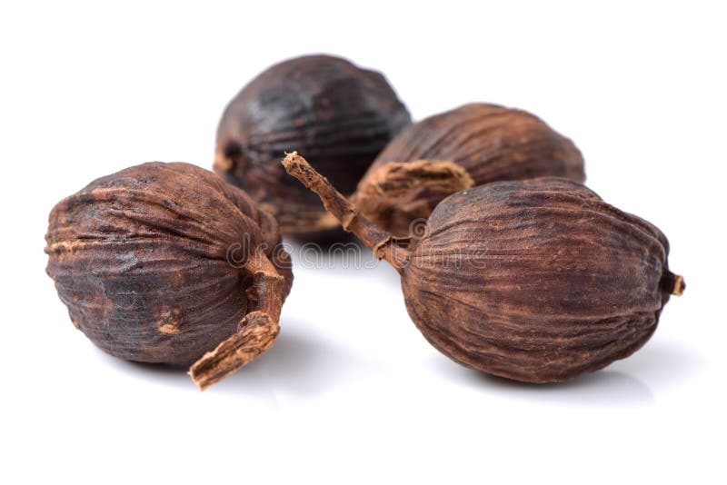 285 Single Cardamom Stock Photos - Free & Royalty-Free Stock Photos ...