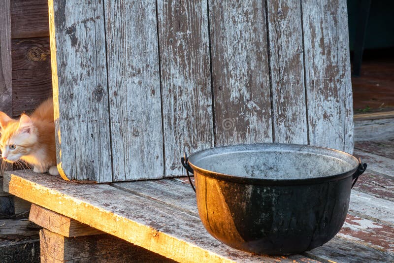 Black Cast Iron Bucket on Wooden Boards Stock Photo - Image of soil ...