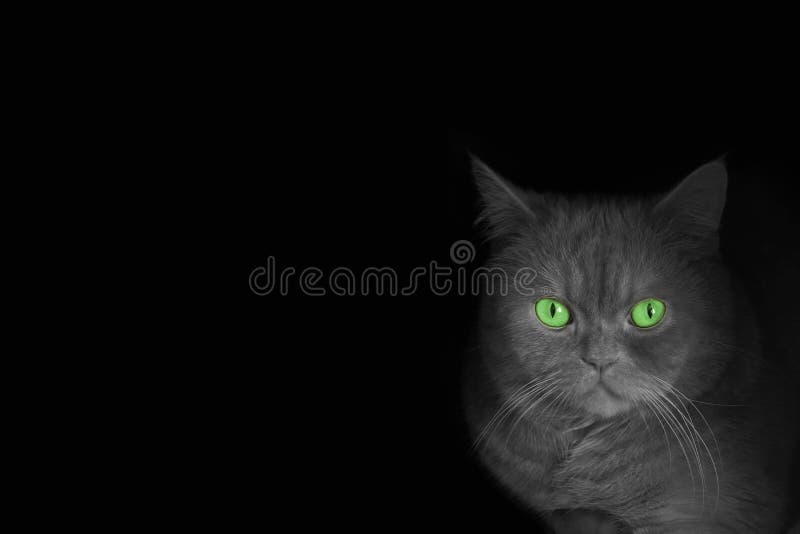 Clipart Free Eye Needle Stock Photos - Free & Royalty-Free Stock Photos ...