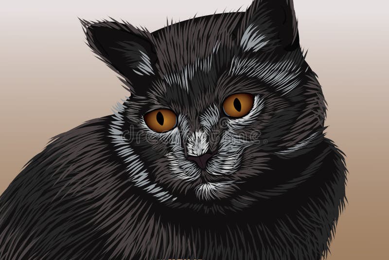Black Cat with Brown Eyes Looking Away. Realistic Hand Drawing Stock ...