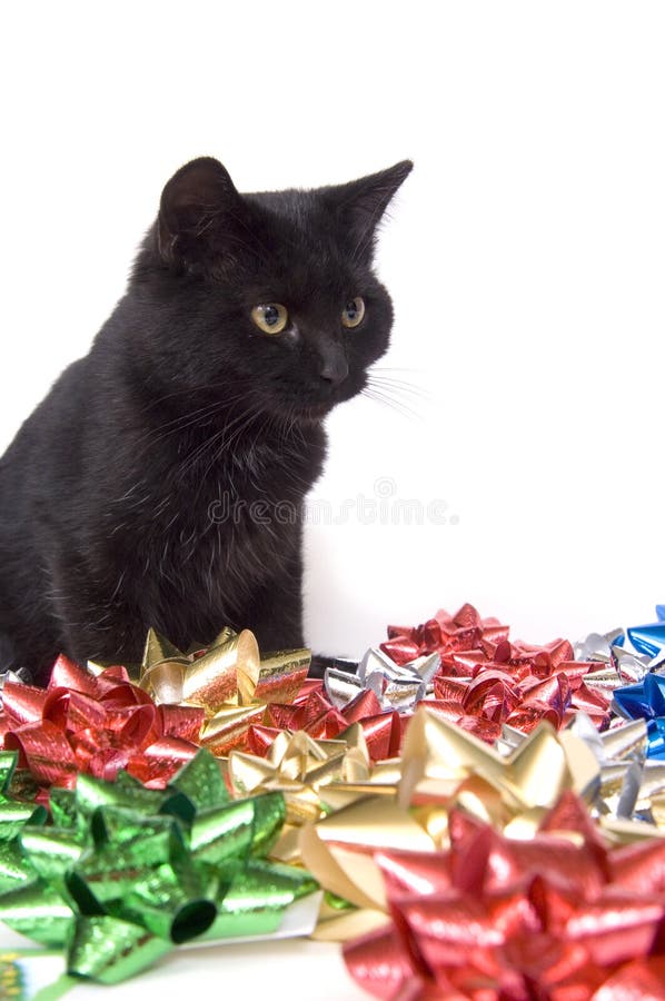 1,229 Black Cat Christmas Blue Stock Photos - Free & Royalty-Free Stock ...