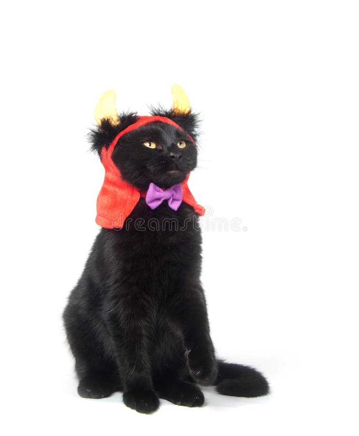 Black cat with devil horns stock image. Image of kitty - 16548591