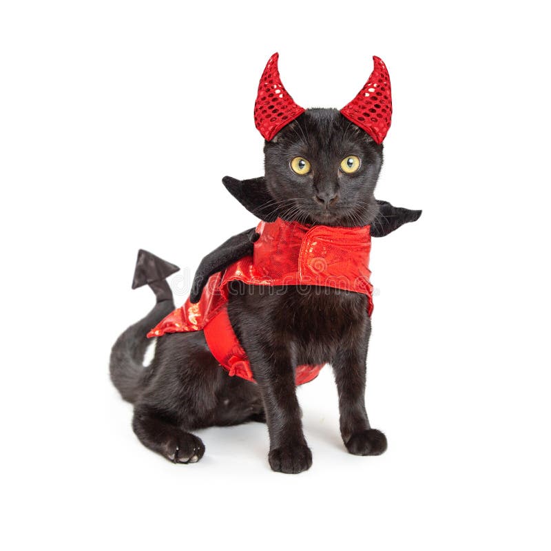 Black cat with devil horns stock image. Image of evil - 16548591