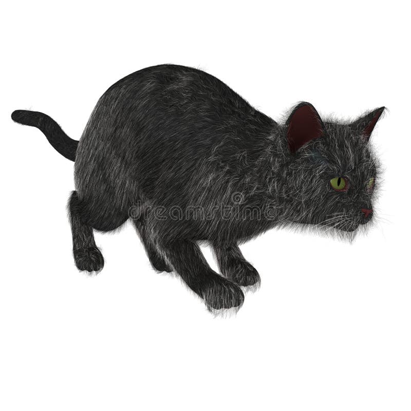 Pounce Stock Illustrations – 545 Pounce Stock Illustrations, Vectors ...