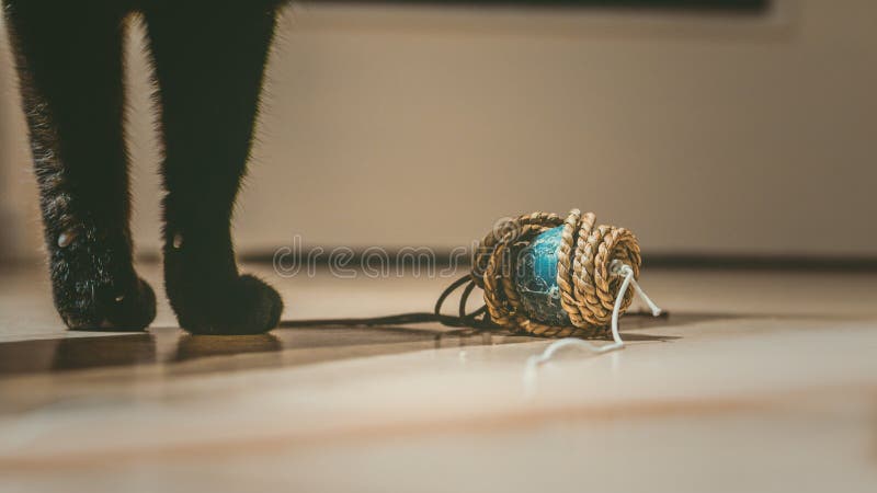 Roupe Toy Stock Photos - Free & Royalty-Free Stock Photos from Dreamstime