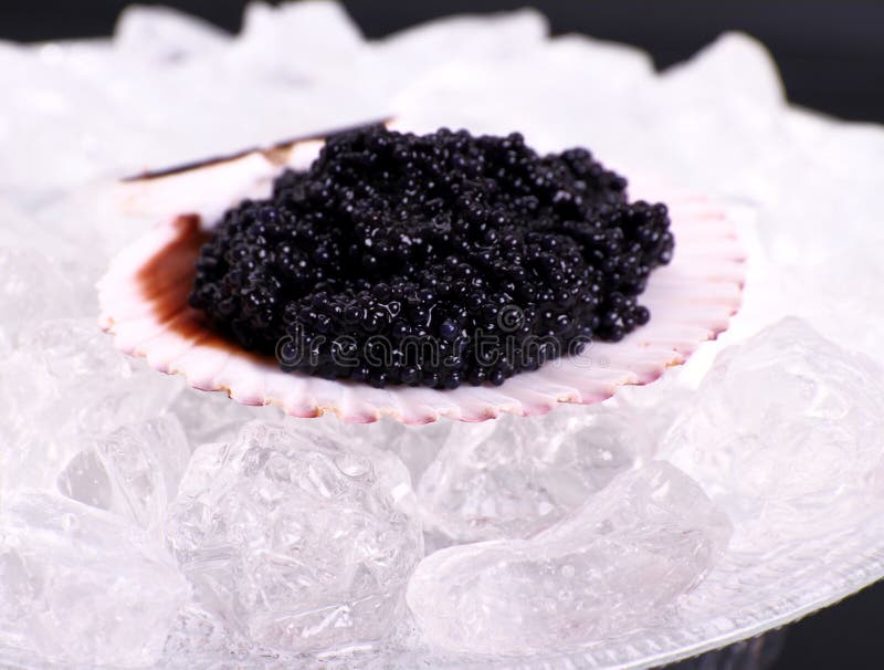 Black Caviar in Seashell with Ice Stock Image - Image of caviar, luxury ...