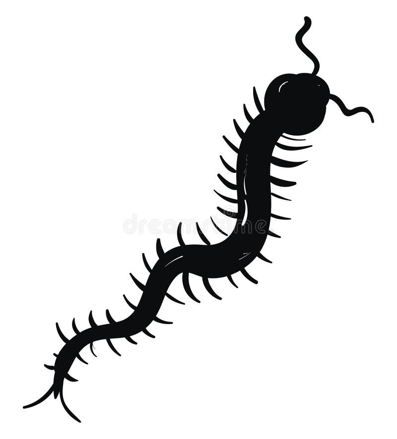 Centipede Stock Illustrations – 2,551 Centipede Stock Illustrations ...