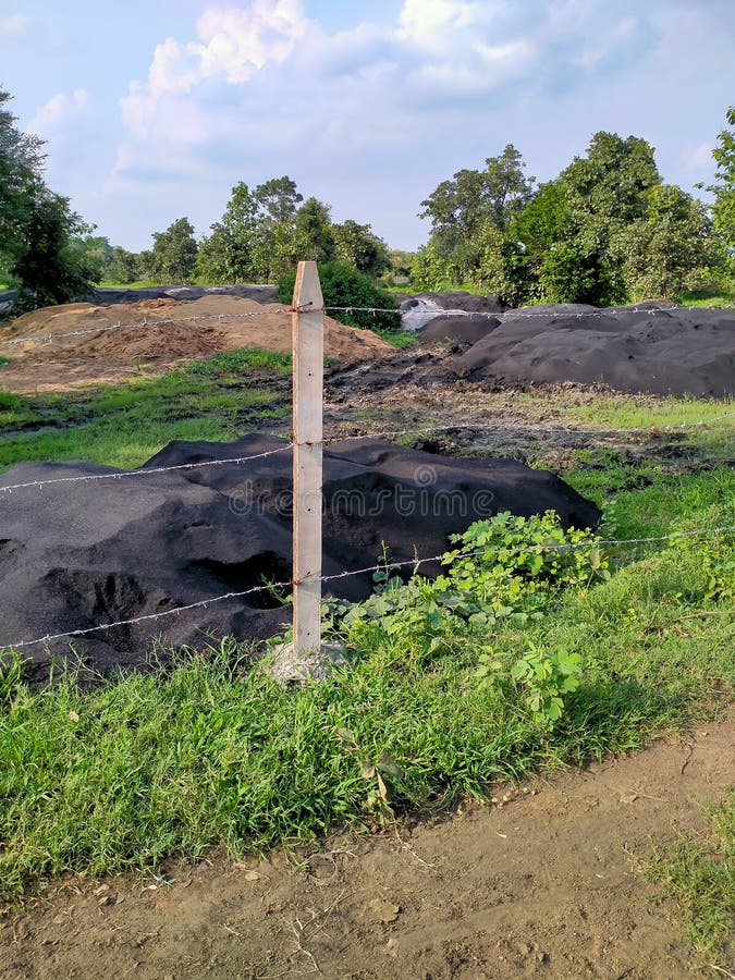 Black Chaff with Irom Compound. Stock Image - Image of soil, tree ...