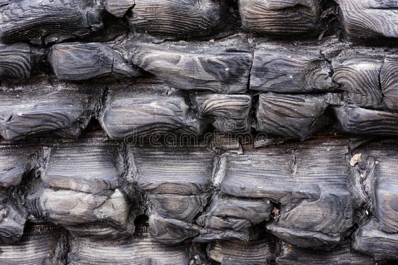 Black Charred Wood. Burned Tree Texture Background. Burnt Log Pattern ...