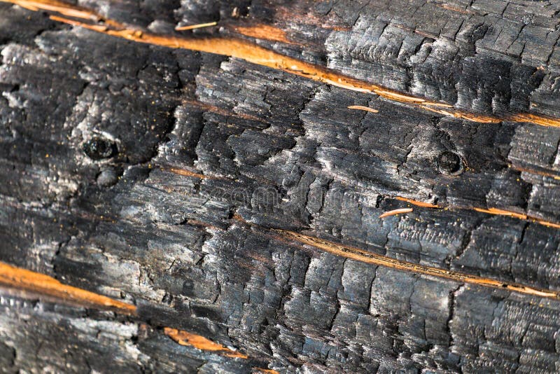 Black,charred Wood Surface.Natural Background and Texture of Burnt ...