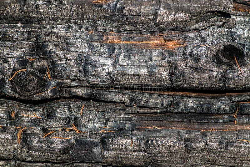 Black,charred Wood Surface.Natural Background and Texture of Burnt ...
