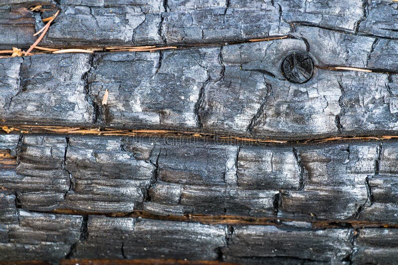Black,charred Wood Surface.Natural Background and Texture of Burnt ...