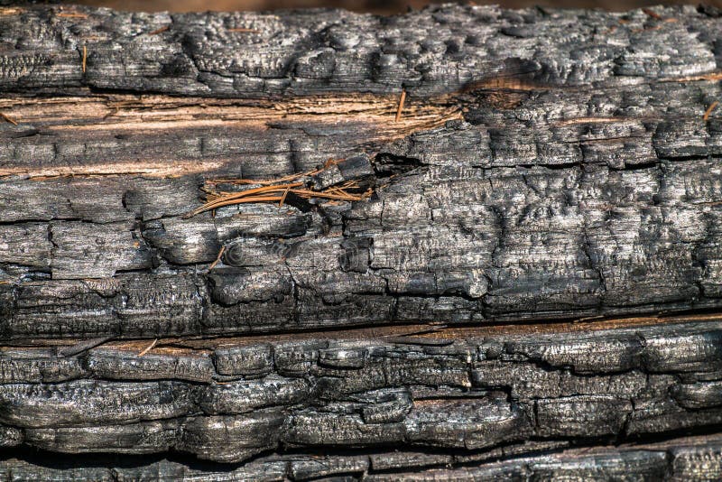 Black,charred Wood Surface.Natural Background and Texture of Burnt ...