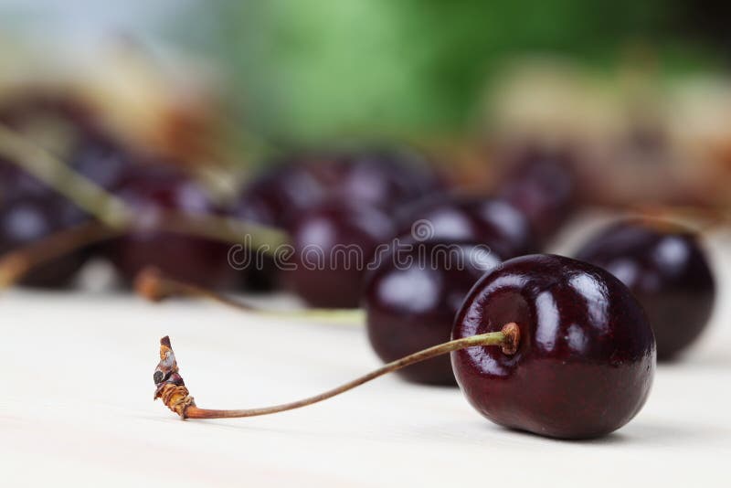 Black cherries stock photo. Image of freshness, succulent - 15552068