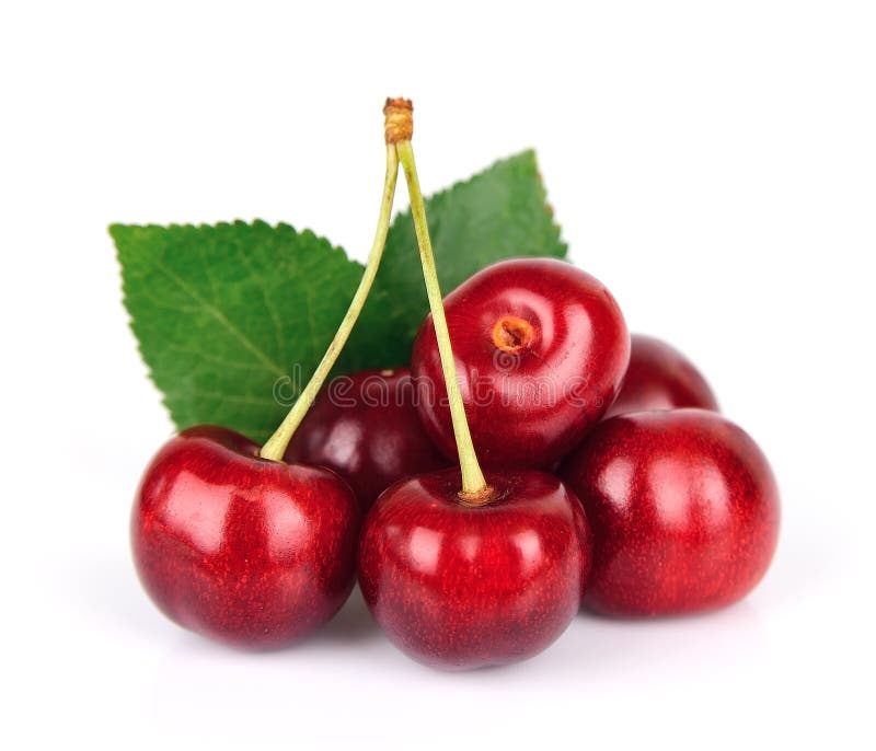 Black cherries stock image. Image of fresh, purple, sweet - 21980679