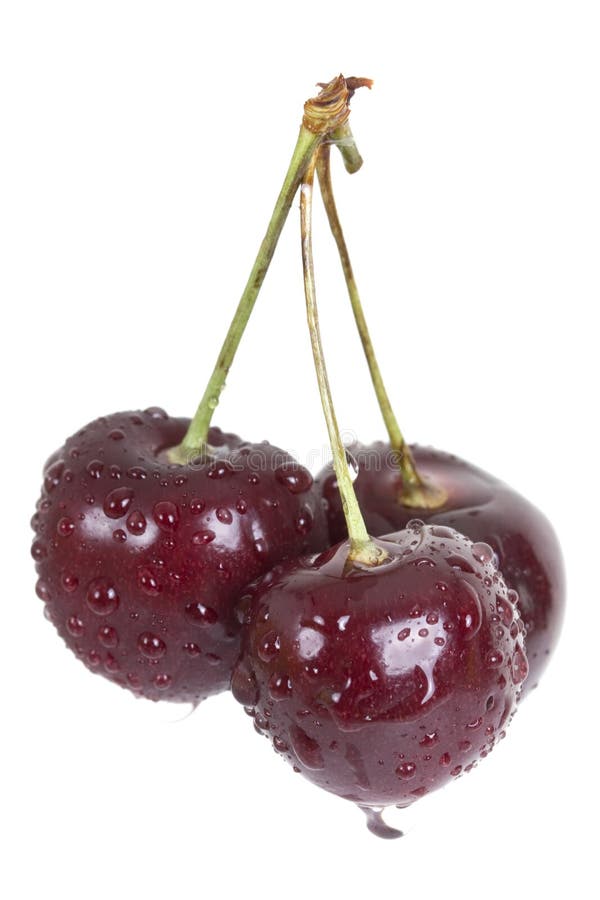 3,594 Black Cherries Isolated Stock Photos - Free & Royalty-Free Stock ...