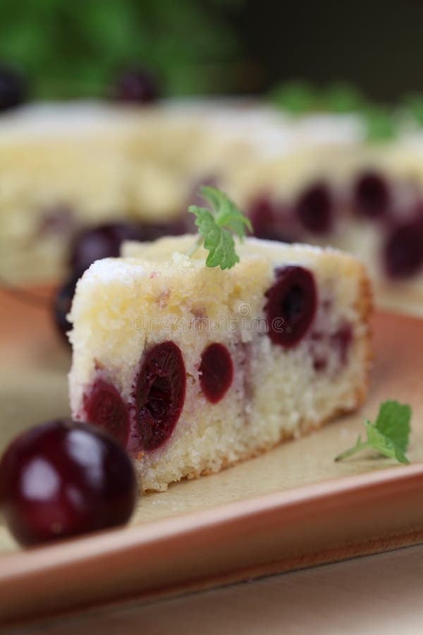 Black cherry sponge cake stock photo. Image of green - 15552142