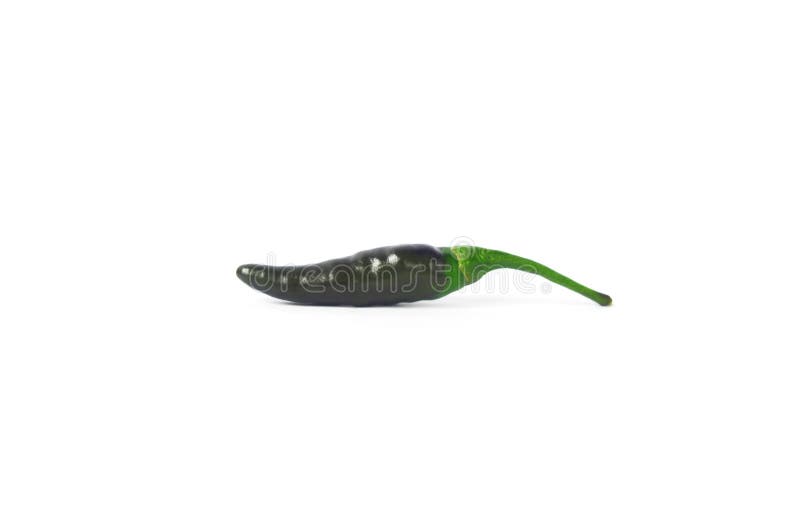 Black Chili Peppers stock photo. Image of gourmet, dieting - 93596514