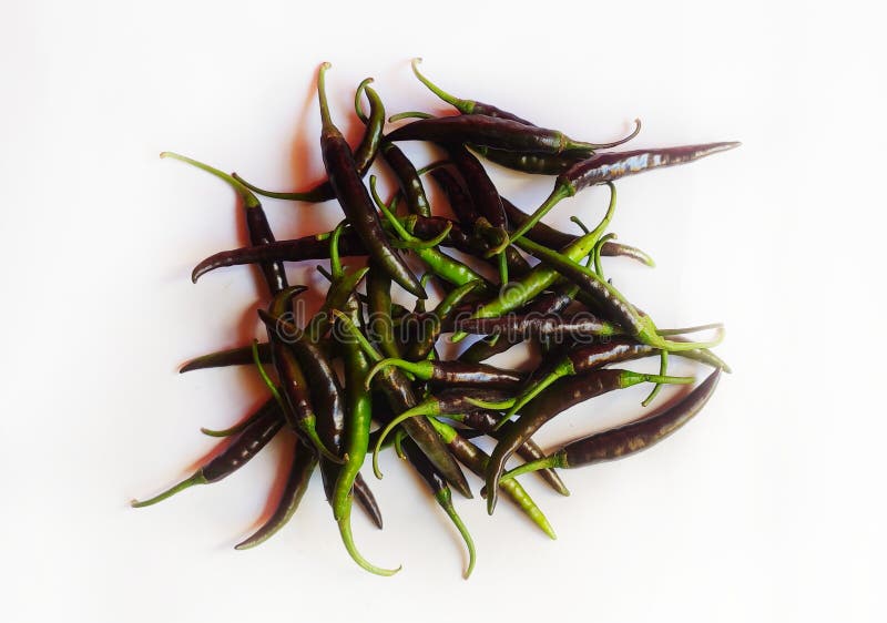 Black Chilli in Isolated Background. Stock Image - Image of plant ...