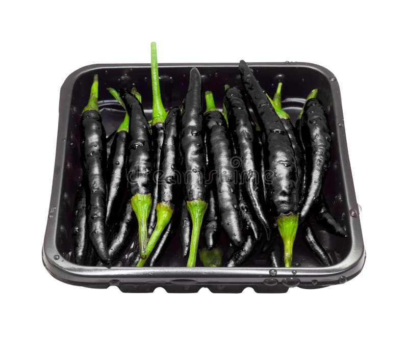 Black Chilli in Isolated Background. Stock Photo - Image of price ...