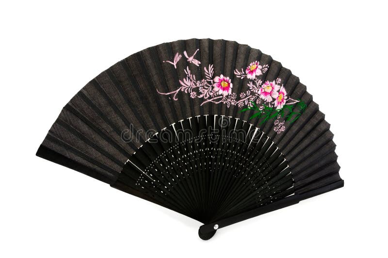 Black Lace Fan stock image. Image of elite, black, fashioned - 7623287