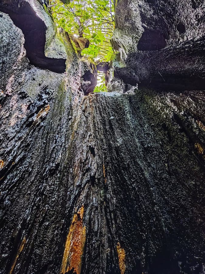 Black cliff in nature stock image. Image of cliff, forest - 274760511