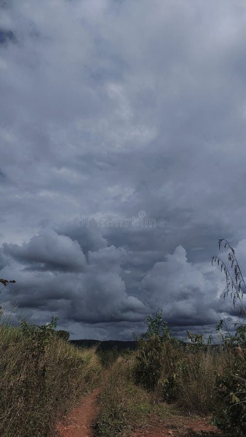 Black Clouds Overcast Walkway Landscape Leaves Bush Trees Stock Image ...