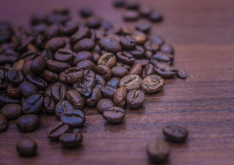 Black Coffee Beans on a Brown Tree Stock Image - Image of caffeine ...