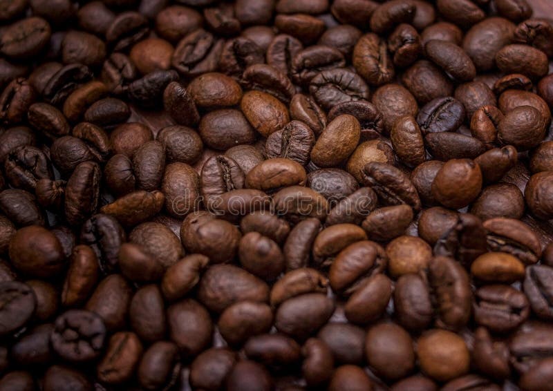 Black Coffee Beans on a Brown Tree Stock Image - Image of break, dark ...