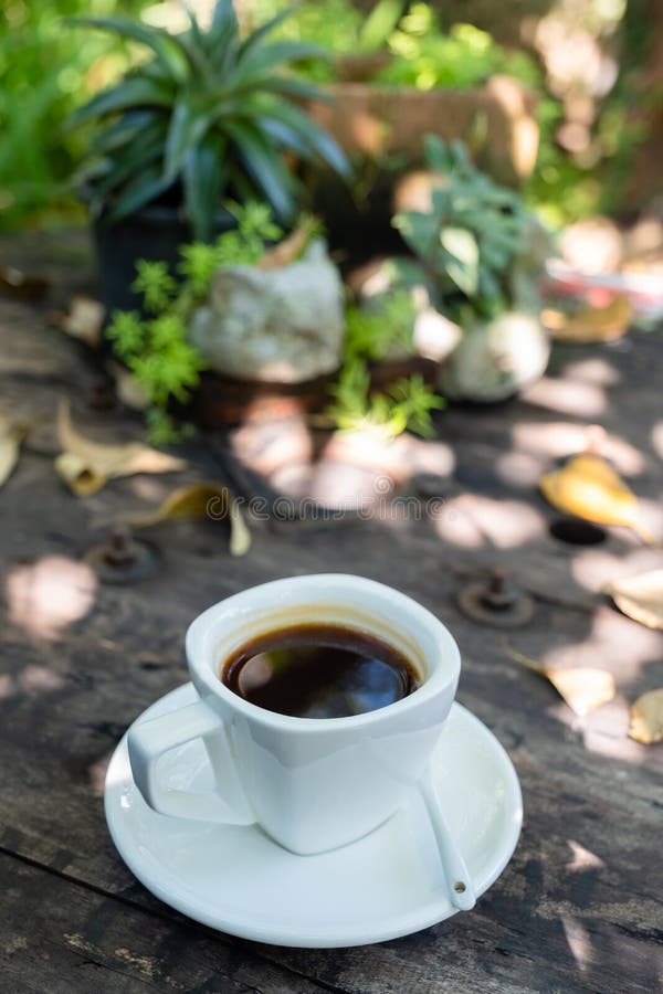 Coffee in garden stock photo. Image of object, wood, wooden - 28098220