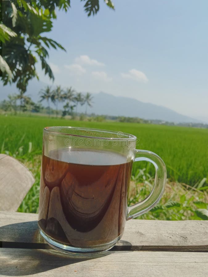 Black Coffee in a Glass with a View of Mountains, Rice Fields and Trees ...