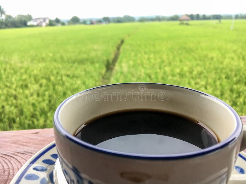 1,406 Black Rice Coffee Stock Photos - Free & Royalty-Free Stock Photos ...